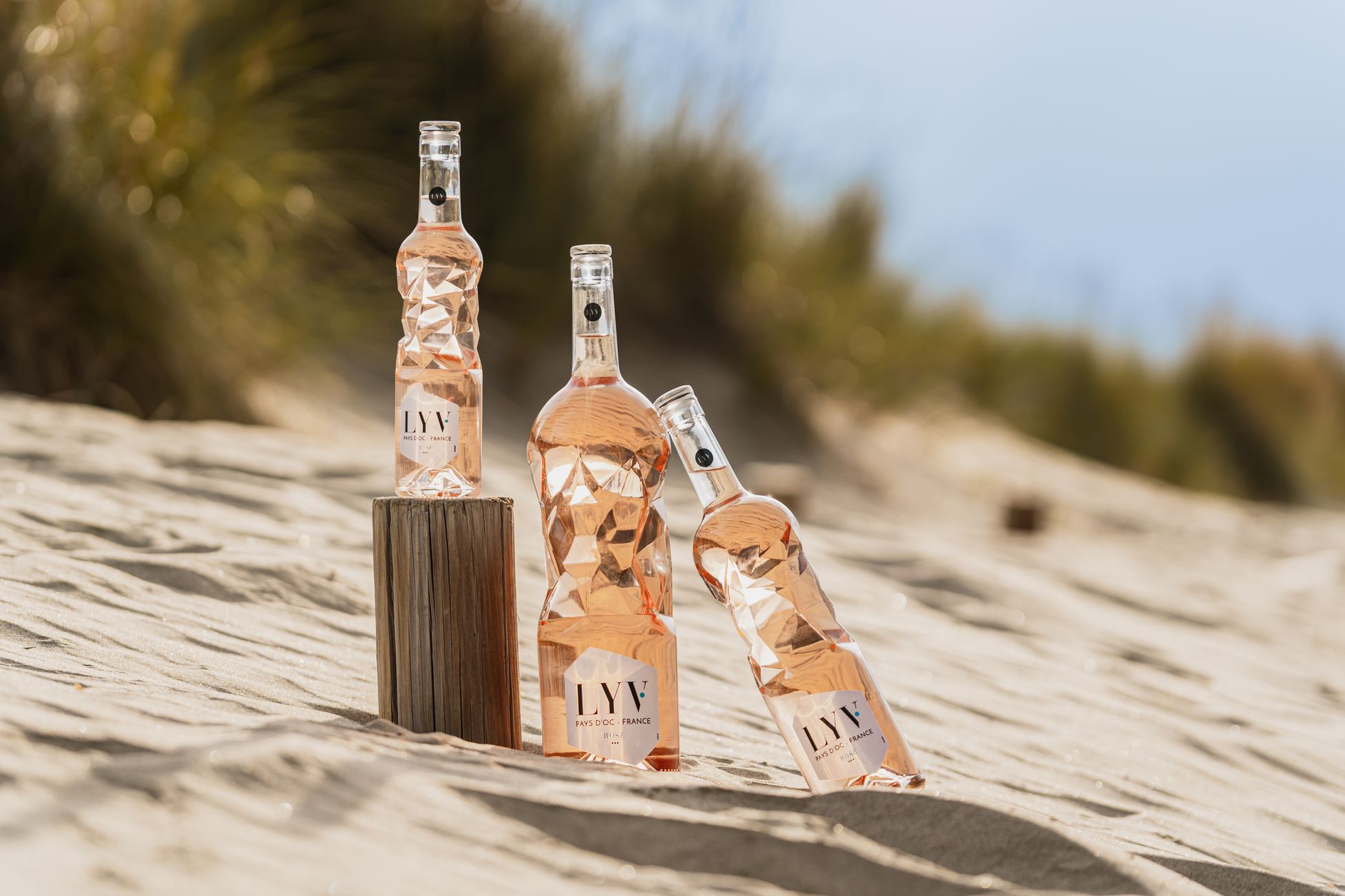 LYV, fresh and modern wines from the South of France